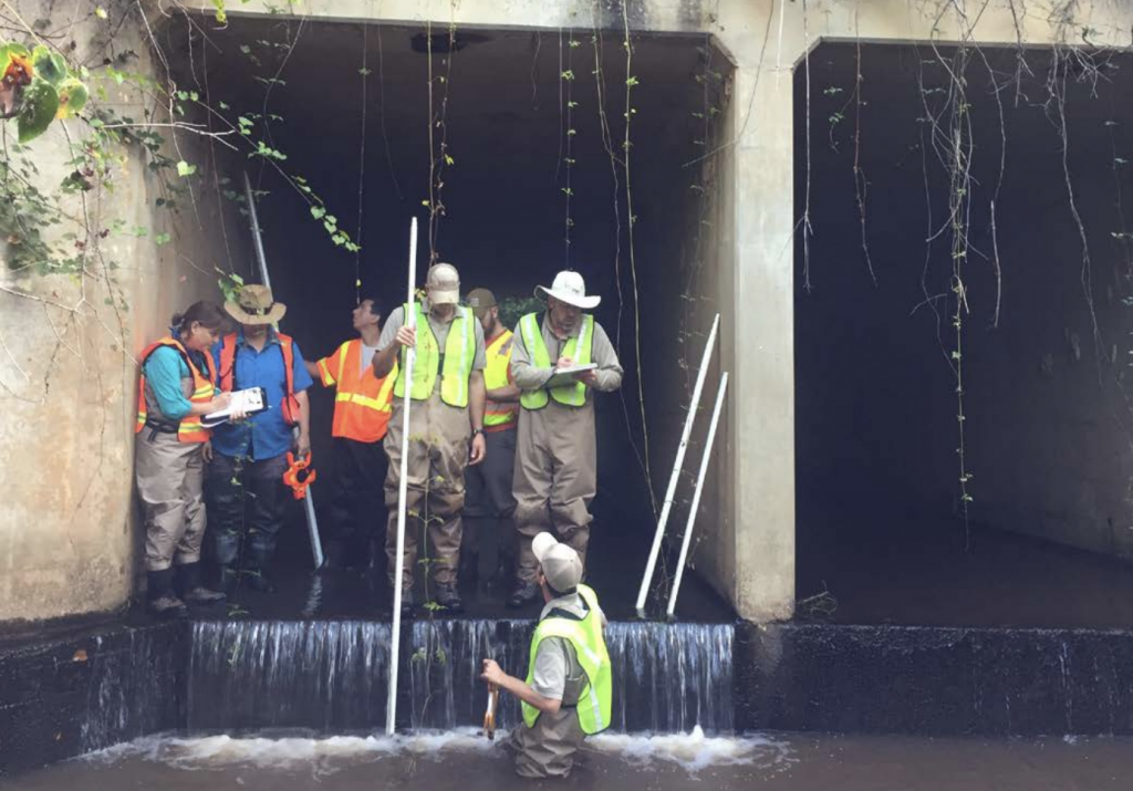 Stream Crossings in Georgia: A Handbook for Connectivity and Resilience