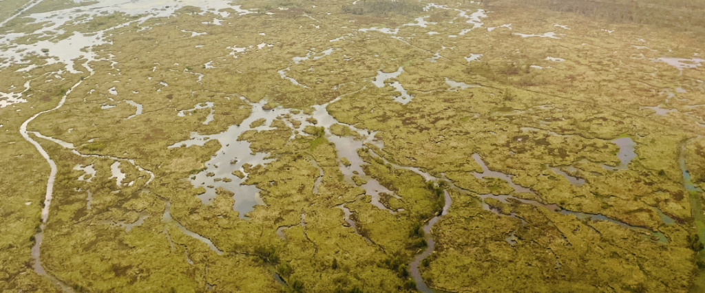 The science behind mining the South’s biggest swamp